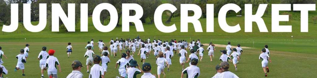 Zeepk Sports ⭐ Junior Size 6 Cricket Bat Kit | Tape Ball Bat | Fast ...